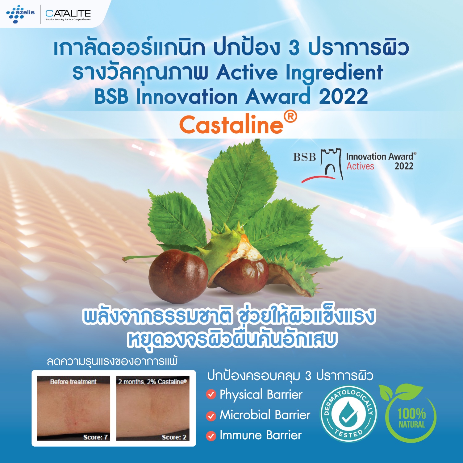 เกาลัดออร์แกนิค ปกป้อง 3 ปราการผิว รางวัลคุณภาพ Active Ingredient BSB ...
